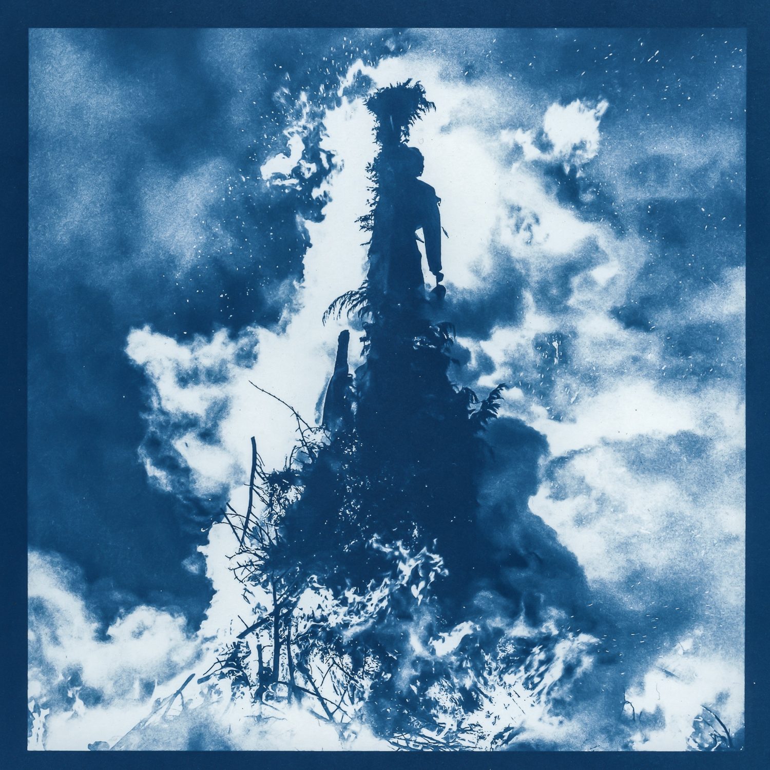 Shop - Carlotta Luke